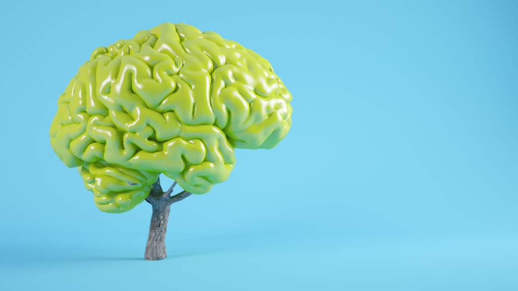 Brain Health is Mental Health