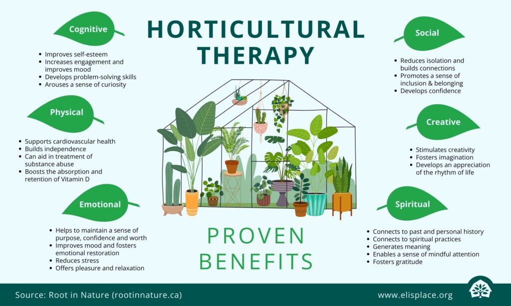 Two Decades of Healing: a Horticultural Therapist's Journey